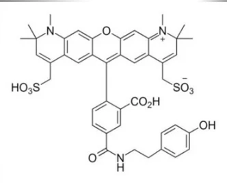 一种荧光素类探针，AF594 酪胺，AF594 tyramide，有良好的组织穿透能力，AlexaFluor594TSA-CSDN博客