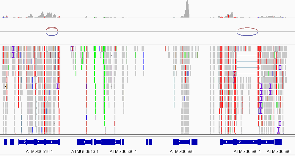 bulk RNA-Seq （2）比对到参考基因组_rna测序参考基因组-CSDN博客