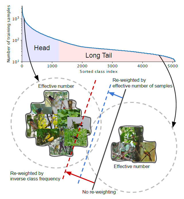 CB Loss：基于有效样本的类别不平衡损失-CSDN博客