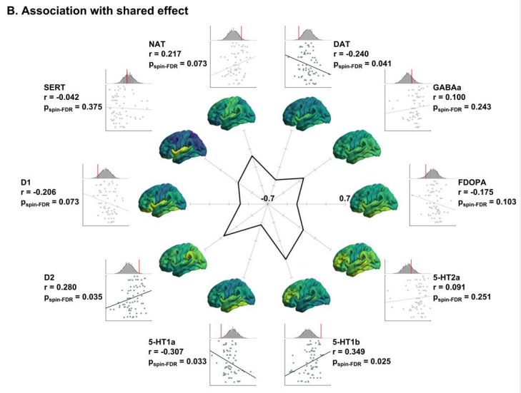 一批PET map来袭-CSDN博客