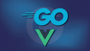 使用 Vue 3 和 Go 构建全栈应用程序 | Working with Vue3 and Go (Golang)_vue3 + go-CSDN博客