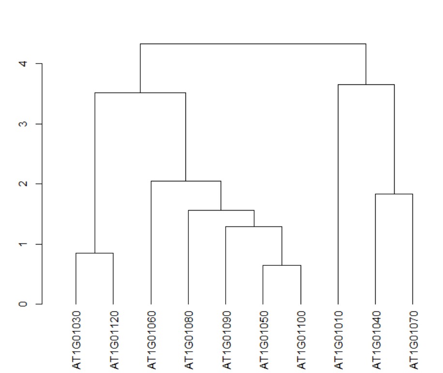 Matlab 聚类分析 画出聚类树plot单独画出pheatmap返回的聚类结果（聚类树）何普的博客 Csdn博客