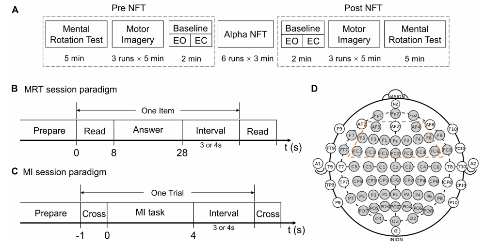 国内研究团队利用神经反馈训练提高运动想象脑机接口的性能-CSDN博客