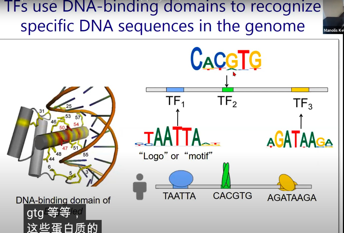 【Regulatory Genomics】Part1基因调控的生物学基础、motifs与测序技术_测序的motif及z值-CSDN博客