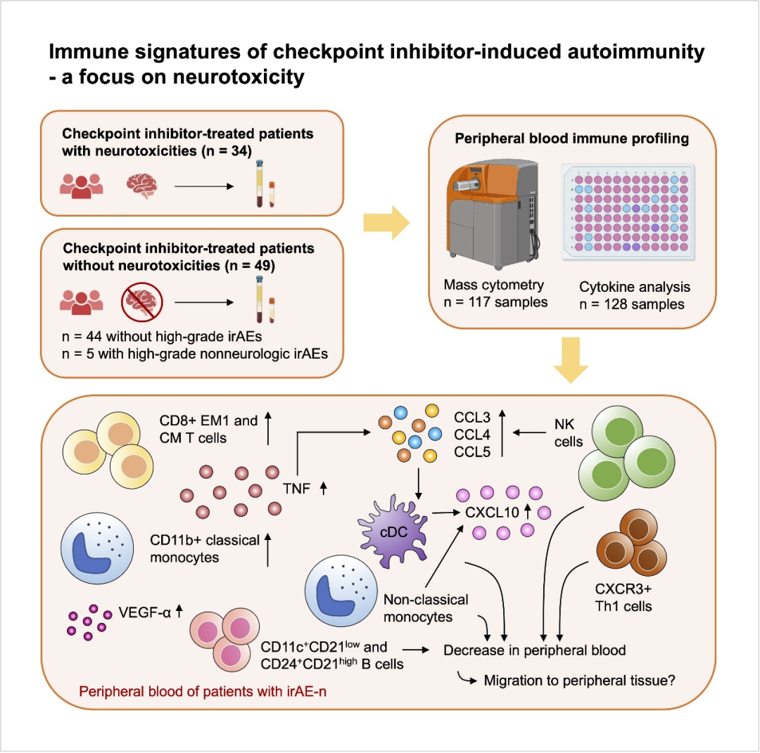 Neuro Oncol（IF=15.9）：质谱流式（CyTOF）揭示免疫治疗相关不良事件的细胞亚群标志物-CSDN博客