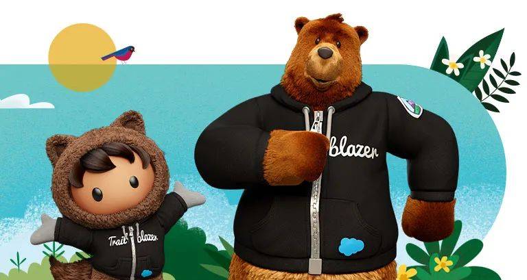 这些Salesforce开发领域的术语，你知道多少？（业内术语之系列五）_salesfroce vforce and lwc-CSDN博客