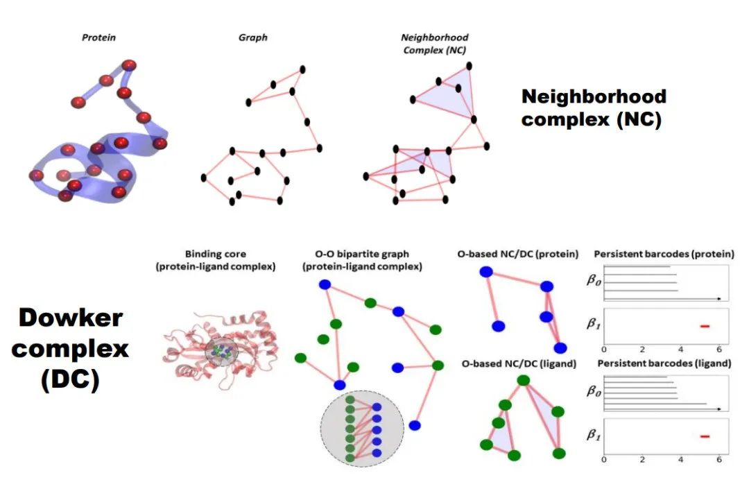 当机器学习遇见拓扑：拓扑数据分析与拓扑深度学习-CSDN博客