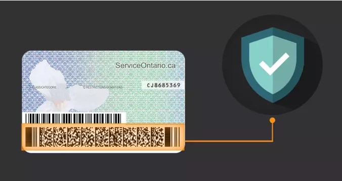 简化身份识别：PDF417 条形码如何简化身份证验证_读取pdf417条形码-CSDN博客