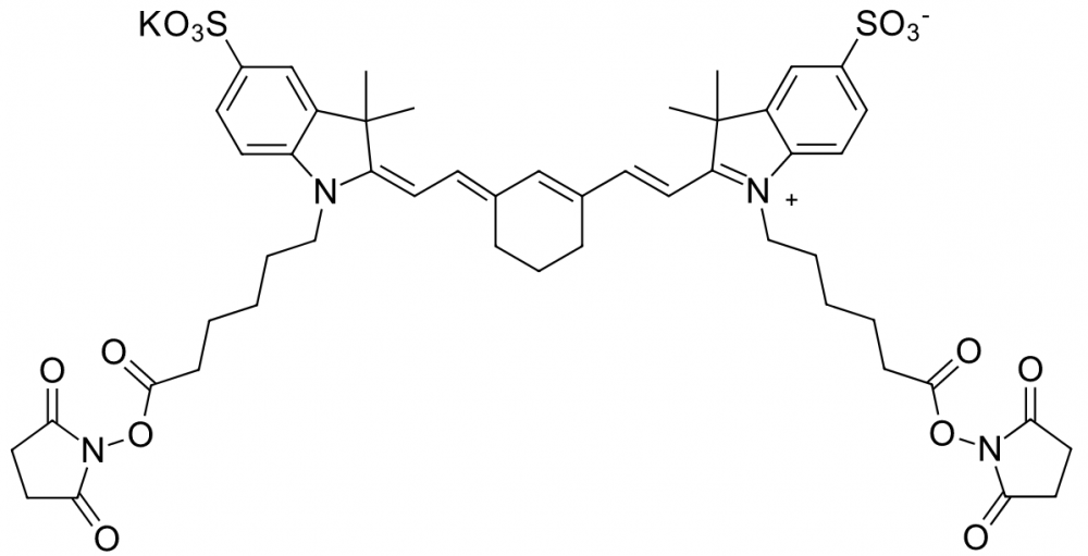 Sulfo-Cyanine7 bis-NHS ester，磺酸基Cy7 bis-活性酯包含近红外、水溶性染料Sulfo-Cyanine7和两个胺反应性NHS酯_sulfo cy7 bis ...