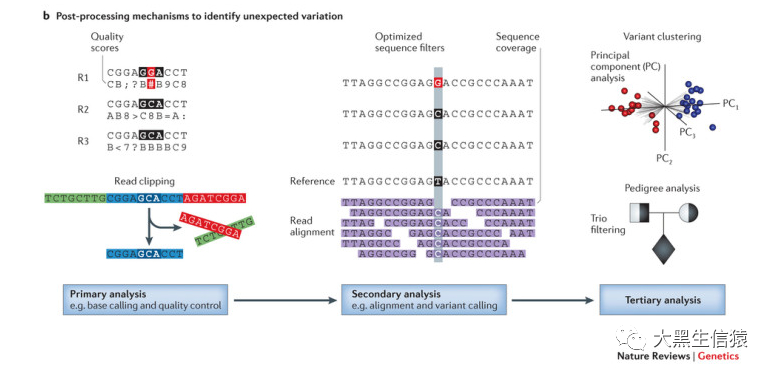 （转载）实用干货—解惑NGS可能引入的错误突变_生信分析低频突变原因-CSDN博客
