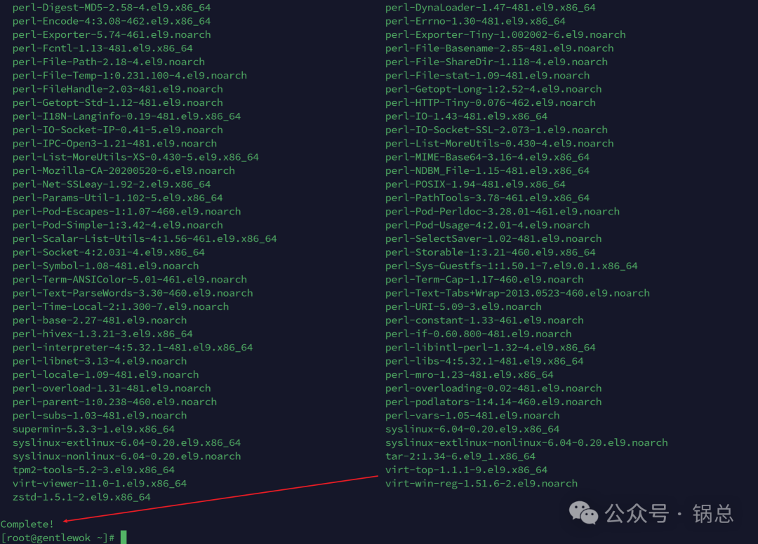 教程：详解Rocky9.4中安装 KVM+VNCServer(内附踩坑指南)-CSDN博客