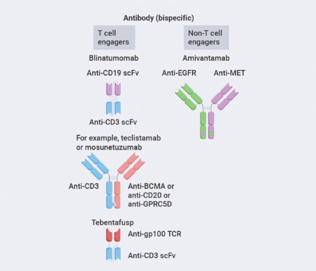 科研助攻 | Nature Review：癌症治疗抗体药物最新综述 | MedChemExpress (MCE)-CSDN博客