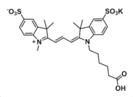 Sulfo Cy3-COOH近红外磺酸-氰基Cy3 COOH常用于免疫组化、荧光定量PCR等生物学实验中，CAS号1121756-11-3-CSDN博客