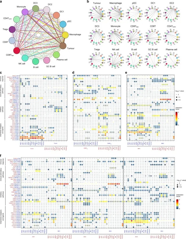 cellphonedb 及其可视化-CSDN博客