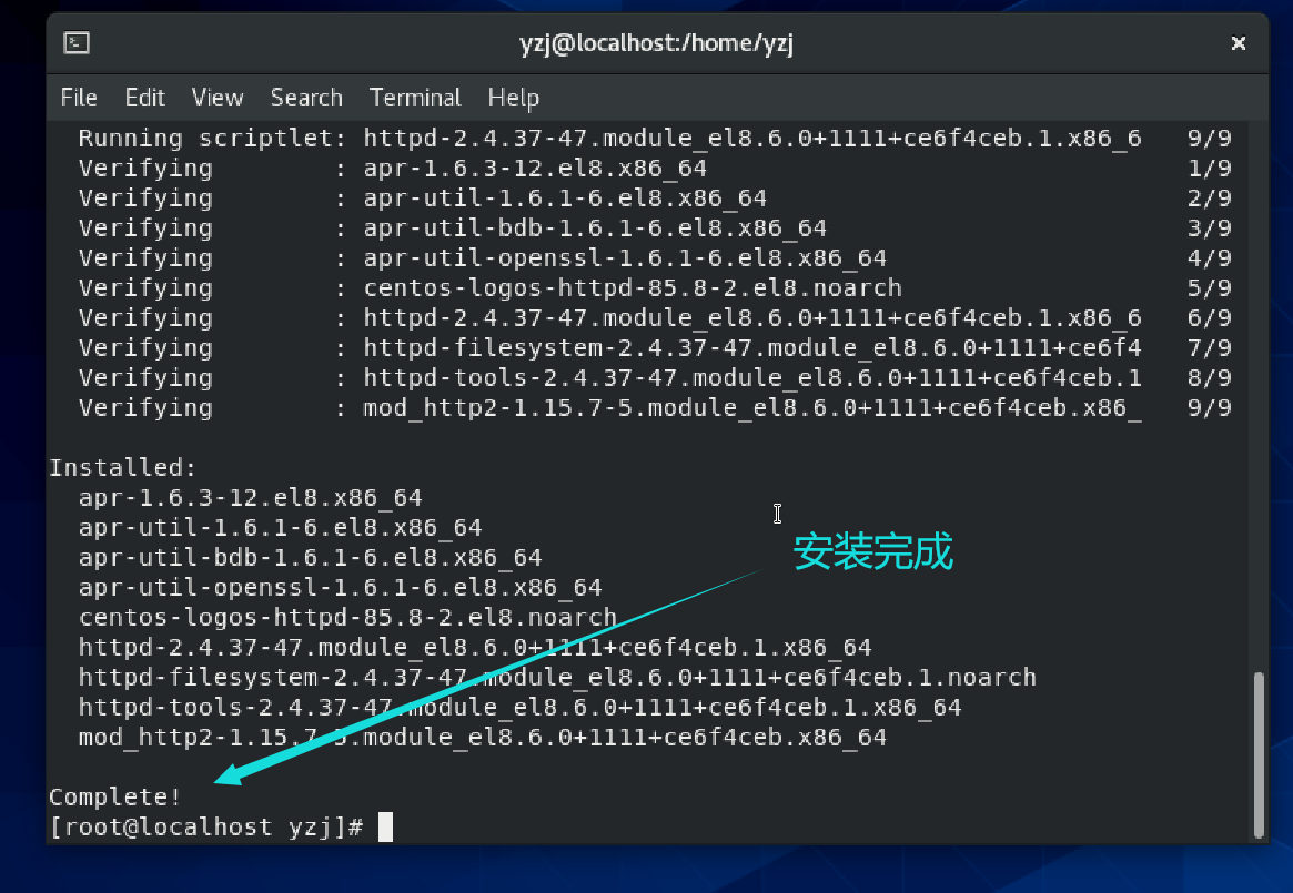 Linux实验四：centos8操作系统中搭建apache 服务器centos8配apache Csdn博客 9319
