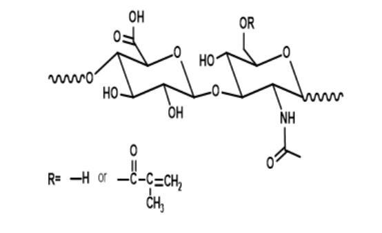 Hyaluronate-MA，HA-MA，甲基丙烯酸酯化透明质酸，HAMA 与蓝光或紫外光引发剂配合使用_hama结构式-CSDN博客