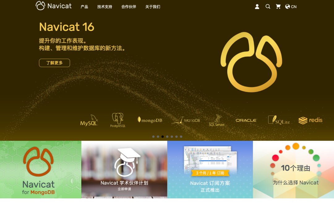 为何在中国 Navicat 远比 DBeaver 流行-通用数据库管理工具_sql developer和navicat哪个好用-CSDN博客