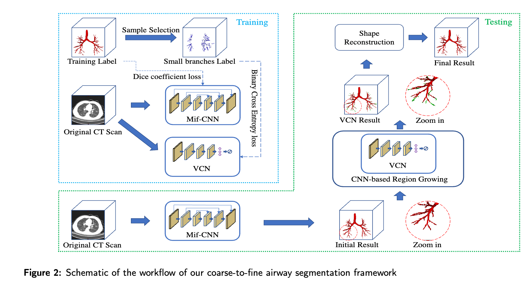 Coarse-to-fine Airway Segmentation Using Multi information Fusion Network and CNN-based Region ...