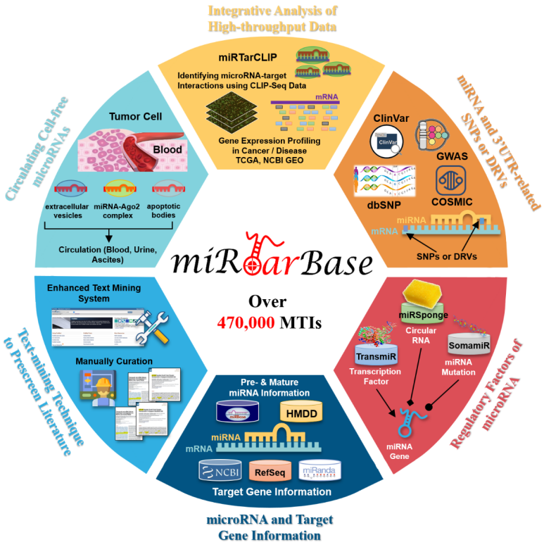 miRTarBase：miRNA-靶标互作数据库_mirtarbse-CSDN博客