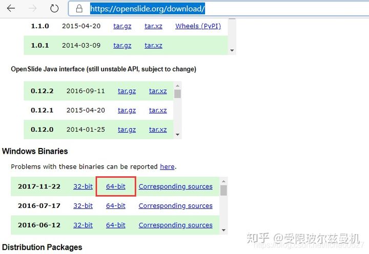 win安装openslide_openslide-tools windows-CSDN博客