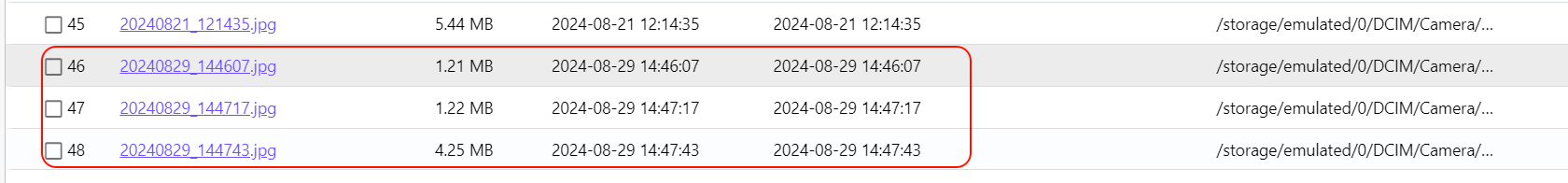 2024年美亚杯（MeiyaCup2024）资格赛writeup_2024美亚杯个人赛writeup-CSDN博客