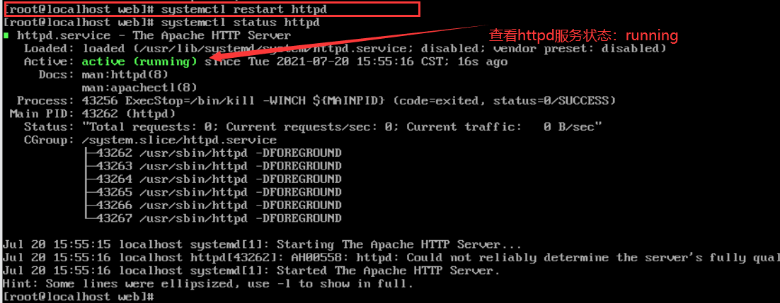 Linux（Centos7）搭建服务器（httpd）_怎么搭hppt协议服务器-CSDN博客