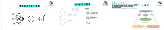 最新基于R语言lavaan结构方程模型（SEM）实践技术应用_r 根据lavaan中sem()参数估计结果算出参数值-CSDN博客