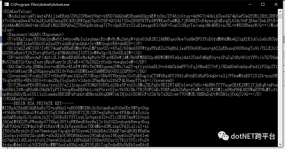 把java rsa2048 pem转xml格式_.NET Core RSA密钥的xml、pkcs1、pkcs8格式转换和JavaScript、Java等语言进行对接...-CSDN博客
