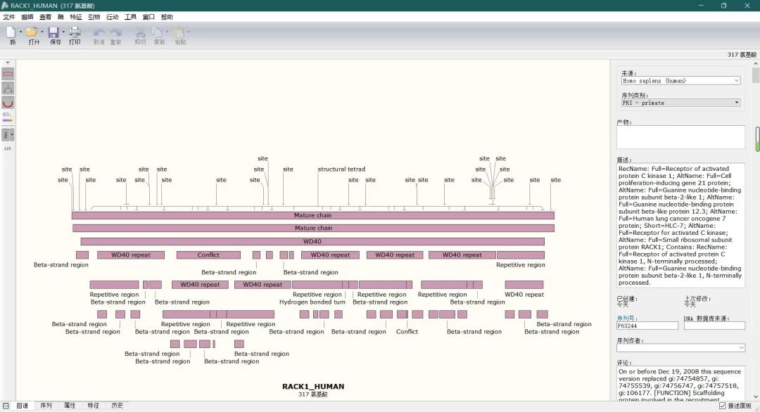 ncbi查找目的基因序列_你可以更美一些：SnapGene Viewer软件序列可视化操作_肥白白的博客-CSDN博客