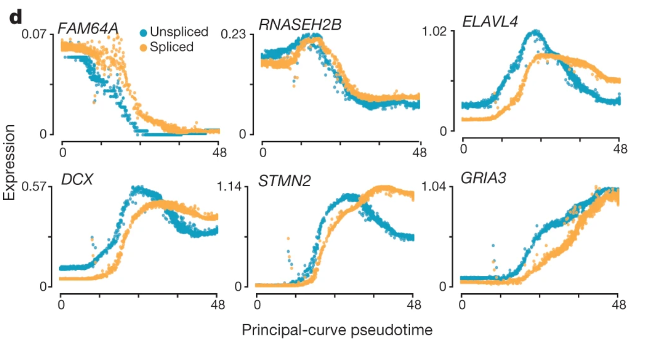 2020-011 RNA velocity of single cells_rna velocity的方向-CSDN博客