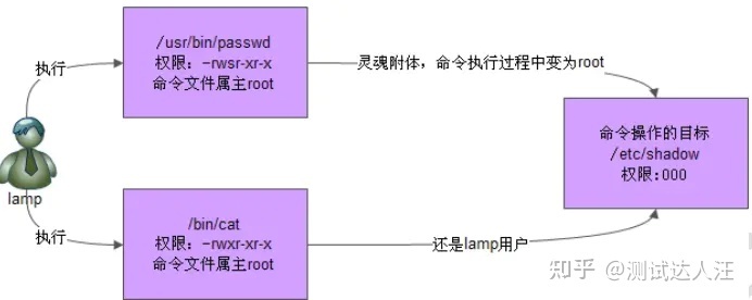 Linux权限管理— 文件特殊权限SetUID_setuid linux-CSDN博客