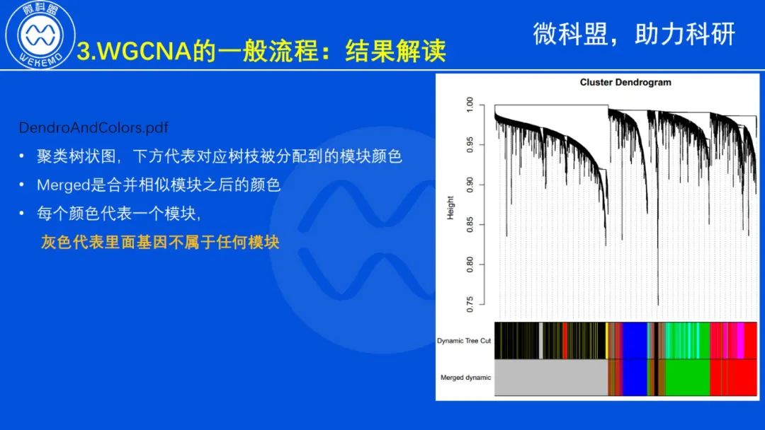 代码+视频教程，用WGCNA进行组学数据挖掘-CSDN博客