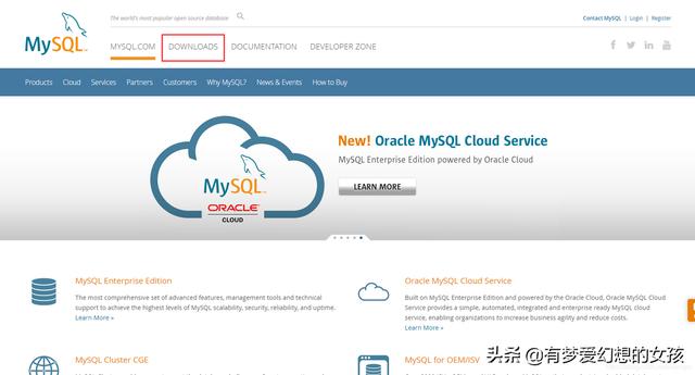 mysql安装check requirements出错_超详细的MySQL8.0.17版本安装教程-CSDN博客