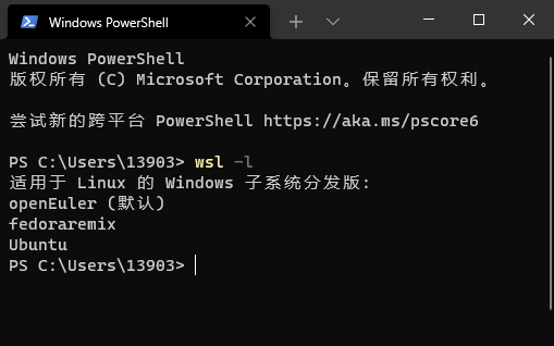 如何运行华为openEuler on WSL-转载_openeuler设置默认开机进入控制台终端模式-CSDN博客
