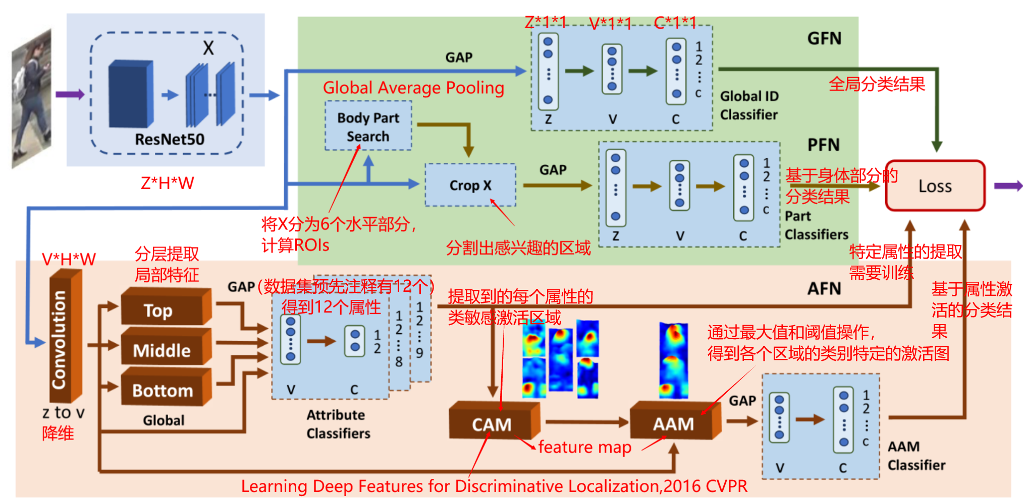 AANet_Attribute_Attention_Network_for_Person_Re-Identifications_aanet ...