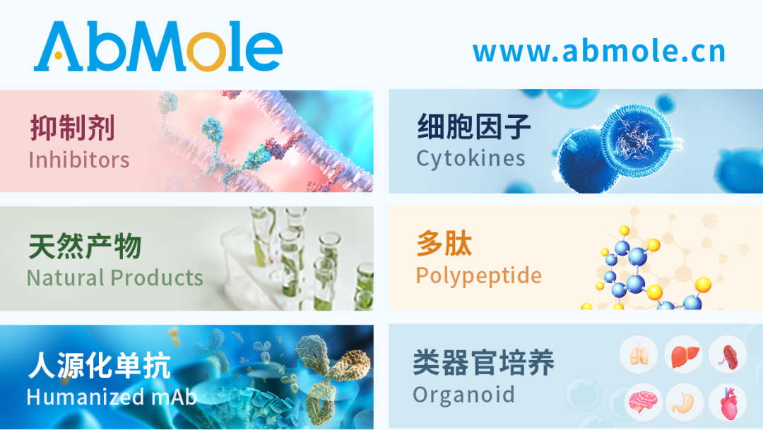 AbMole|BRD9 介导的染色质重塑与破骨细胞生成研究新发现_brd9 and 自噬-CSDN博客