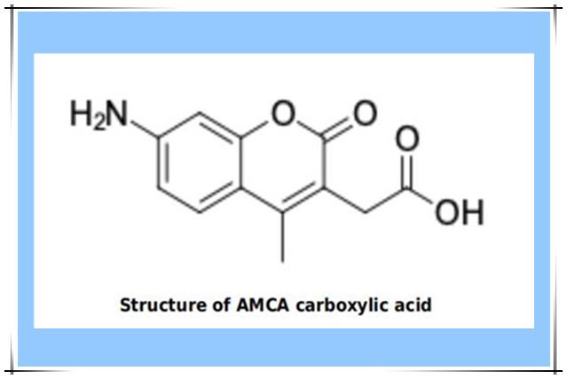 蓝色荧光染料AMCA-carboxylic acid，AMCA多色标记的荧光团，可作为涉及AMCA染料偶联物_amca荧光-CSDN博客