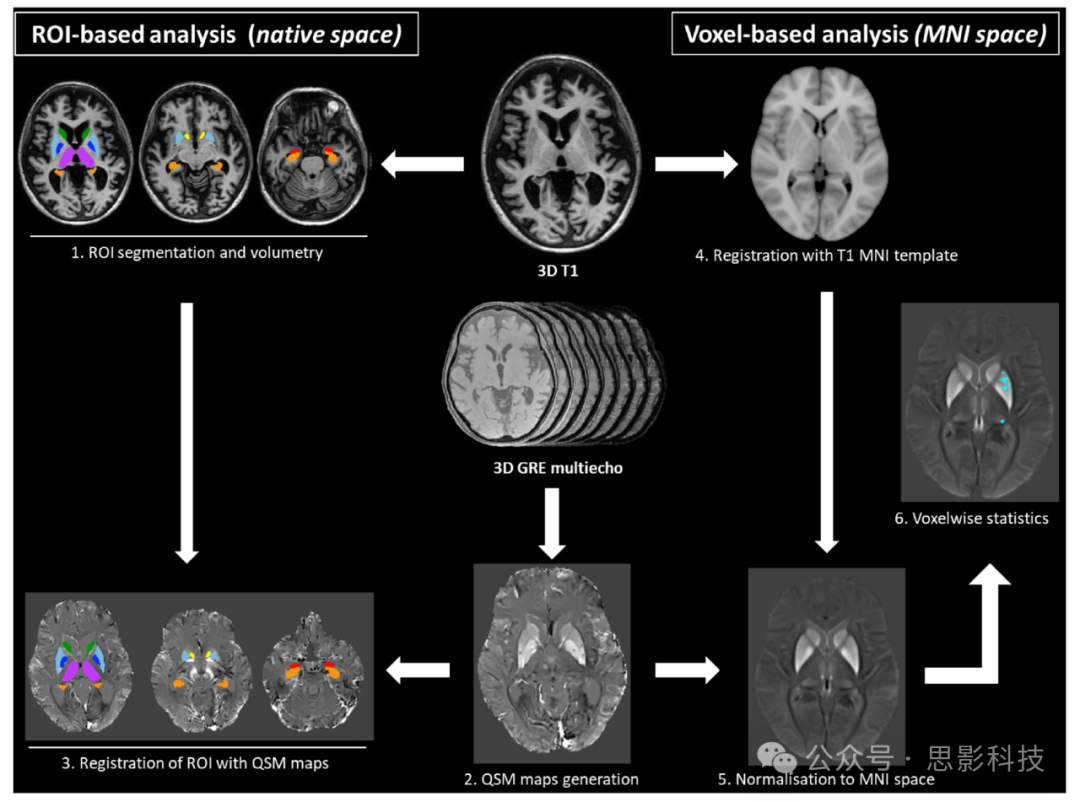定量磁化率显示早发性阿尔茨海默病不同亚型的脑铁沉积模式各异_qsm序列-CSDN博客