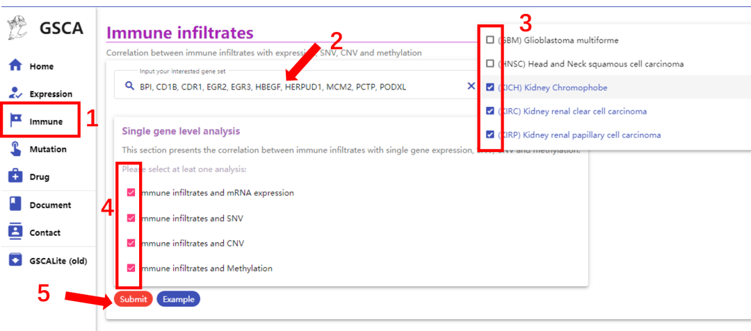 超级全能的生信分析数据库——GSCA_用gsca分析单个癌症的药敏性分析-CSDN博客