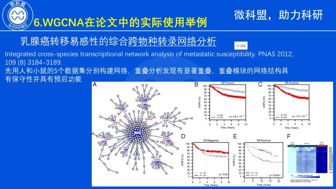 代码+视频教程，用WGCNA进行组学数据挖掘-CSDN博客