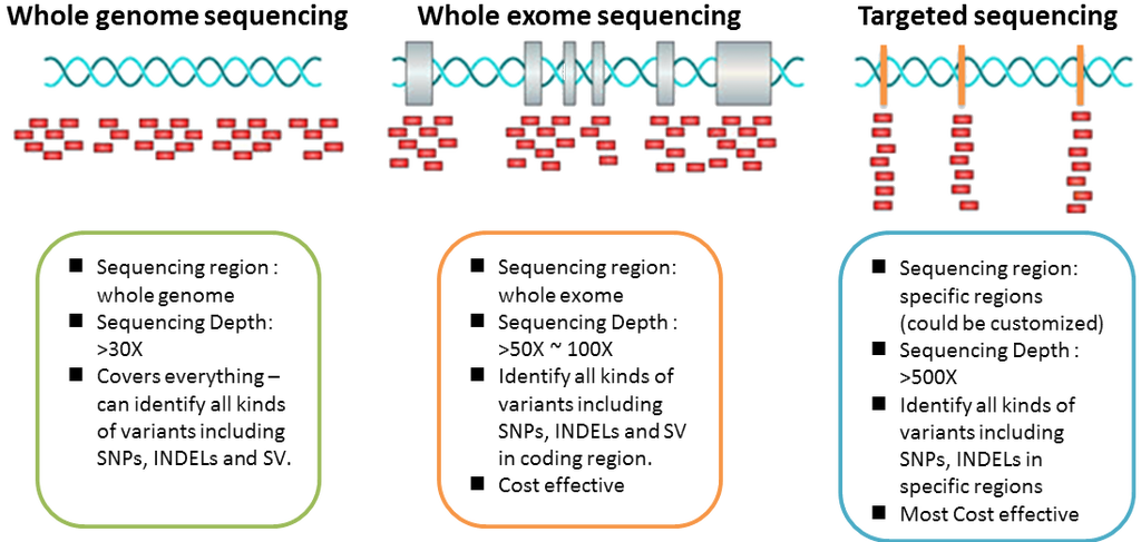全外显子测序(WES)由入门到精通记录-CSDN博客
