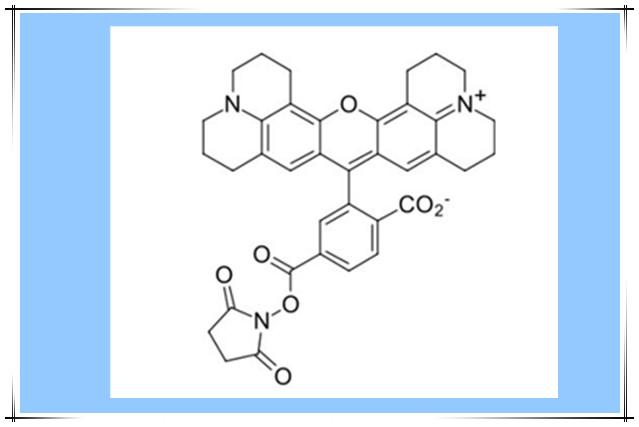 117491-83-5，1890922-83-4，216699-36-4，ROX NHS ester, 6-isomer，在qPCR中经常使用 ...