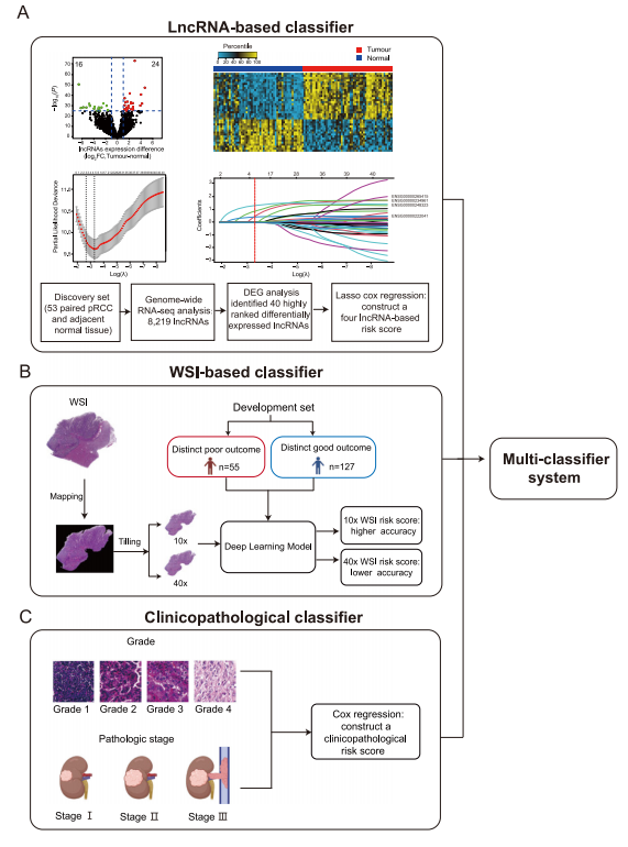 多模态数据融合新突破！连续多篇成果发Nature！_predictive dynamic fusion-CSDN博客