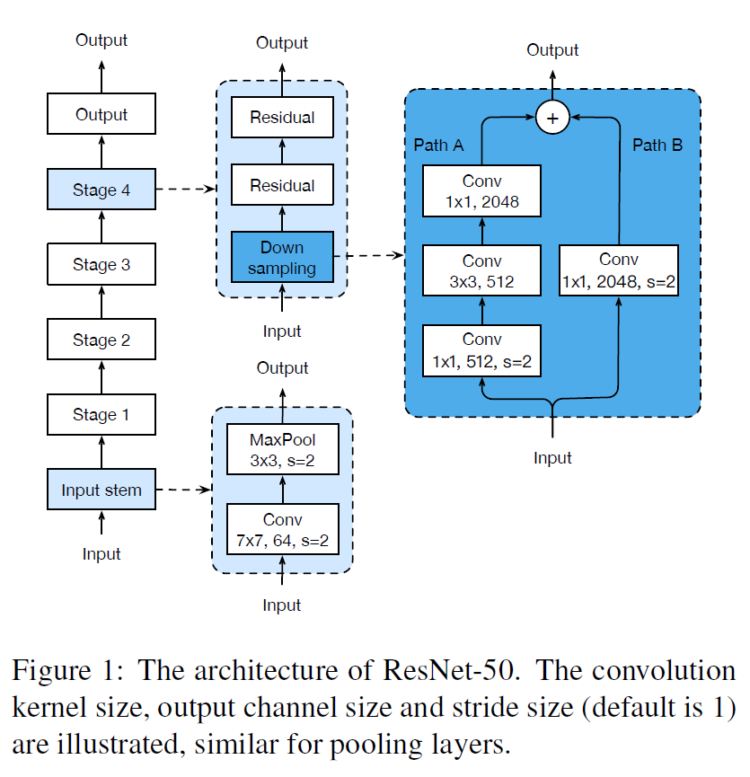 ResNet及BCD版本详解且在眼疾识别中应用实例_resnetbcd-CSDN博客