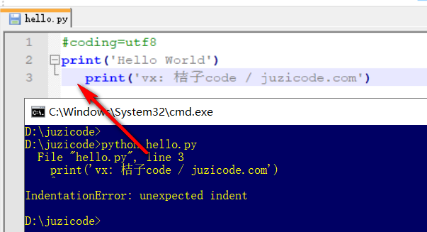 Python IndentationError Unexpected Indent code 