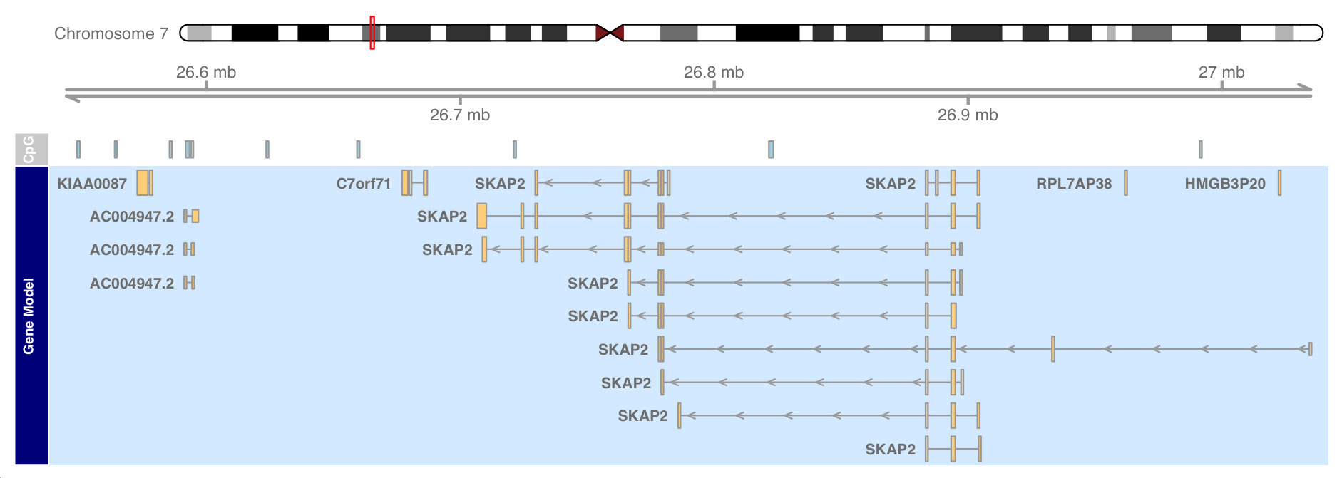 使用Gviz包实现基因组数据可视化-CSDN博客