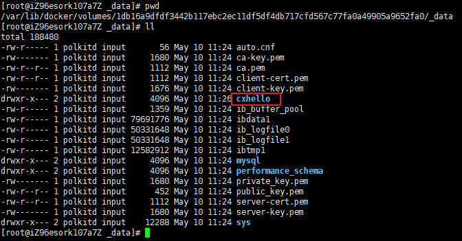 恢复docker容器数据docker System Prune 恢复 Csdn博客 