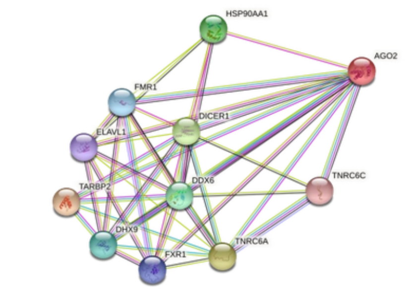 图表示学习经典方法——GCN＆GAE-CSDN博客