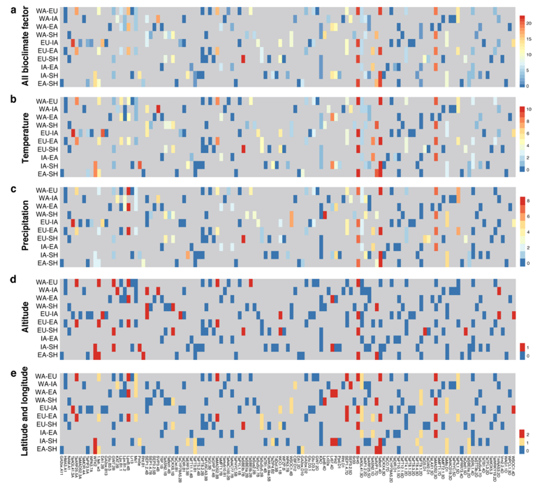 文献精读丨NP 小麦群体演化历史Population genomics unravels the Holocene history of ...